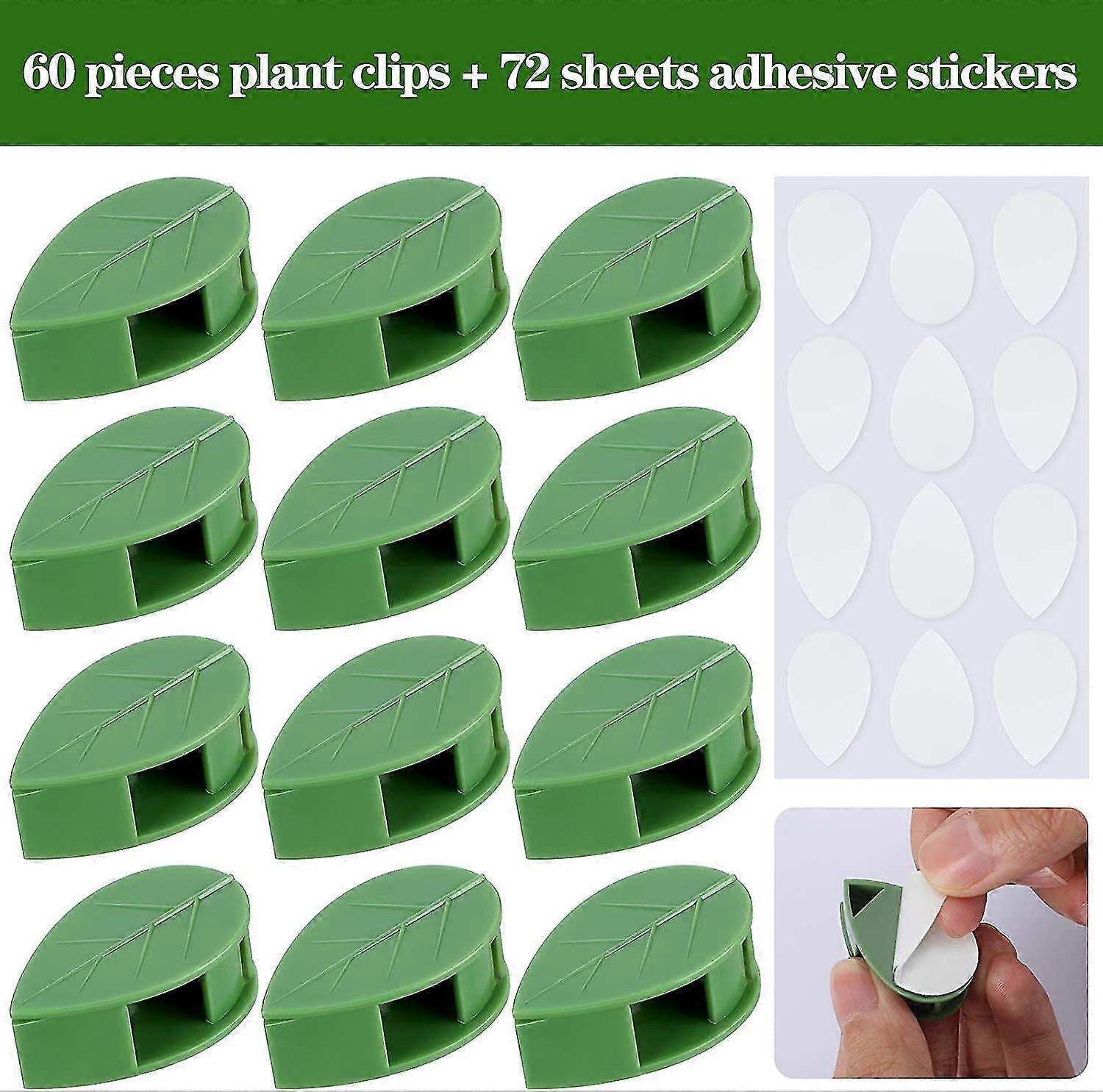 60 Pieces Plant Climbing Wall Fixture Clips With 60 Pieces Acrylic ...