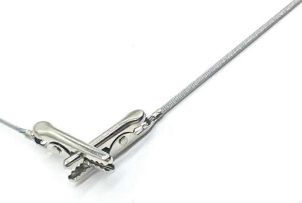 Set of 50 Metal Wire Alligator Clamp Long-tailed Alligator Iron Clip ...