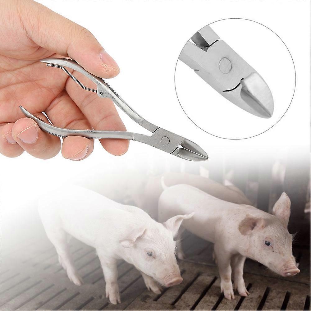 Stainless Steel Pliers Broken Tooth Clamp Pig Farm Equipment Durable ...