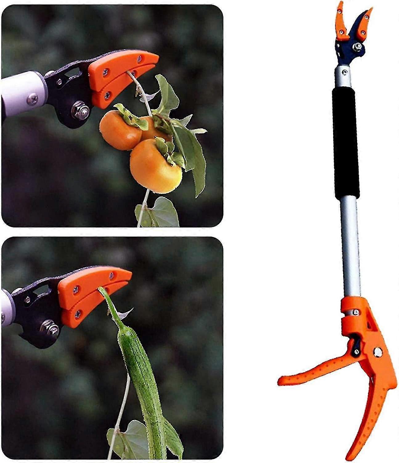 Long Handled Pruning Shears Telescopic Pruning Shears, Long Reach Tree ...