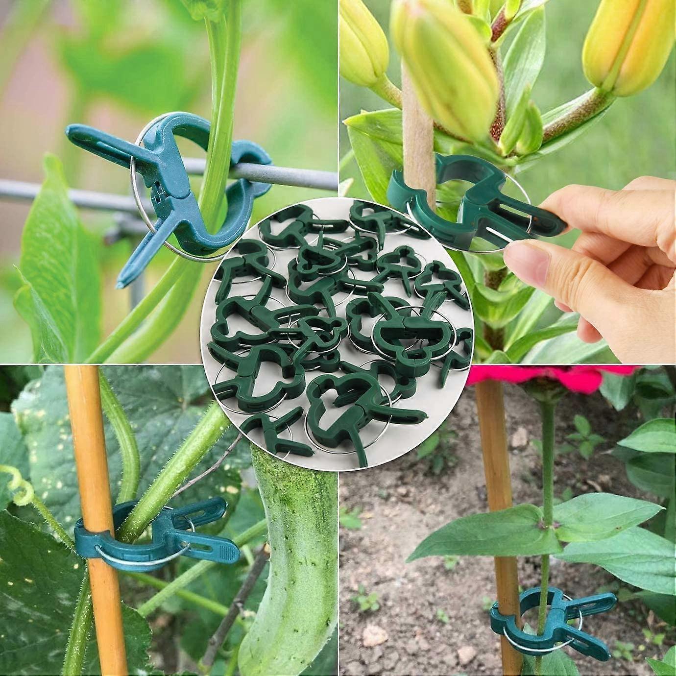 Plant Clamps, Plant Holders, Plant And Flower Clips, Plant Connectors ...