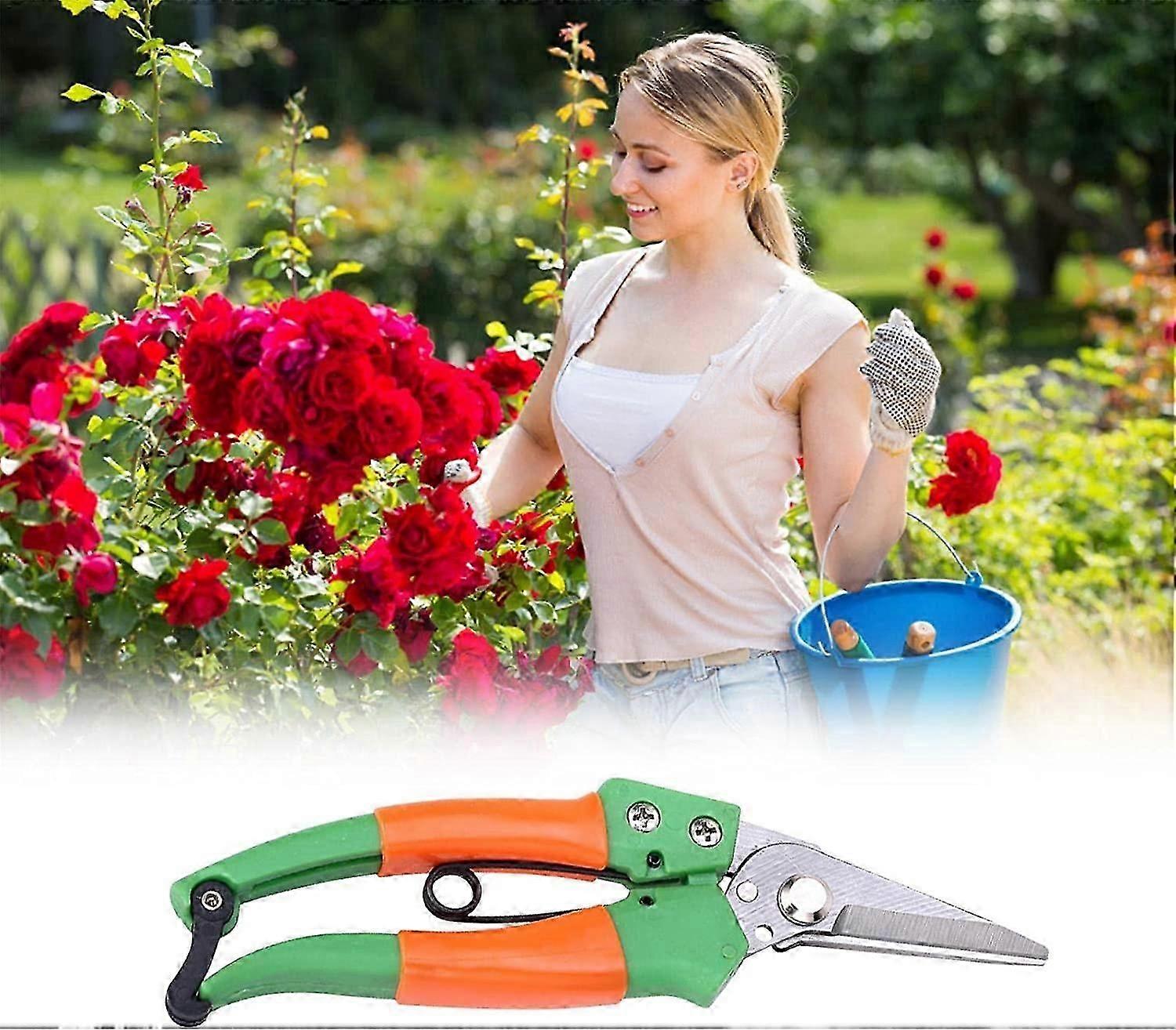 Stainless Steel Sharp Garden Shears, Pointed Plant Cutter Pruner Hand ...