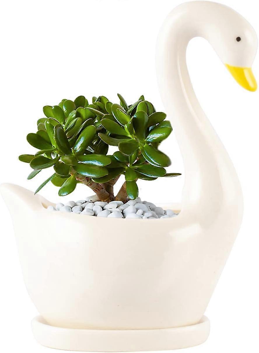 Ceramic Swan Flower Pot, Cactus Succulent Flower Pots Plants Container ...