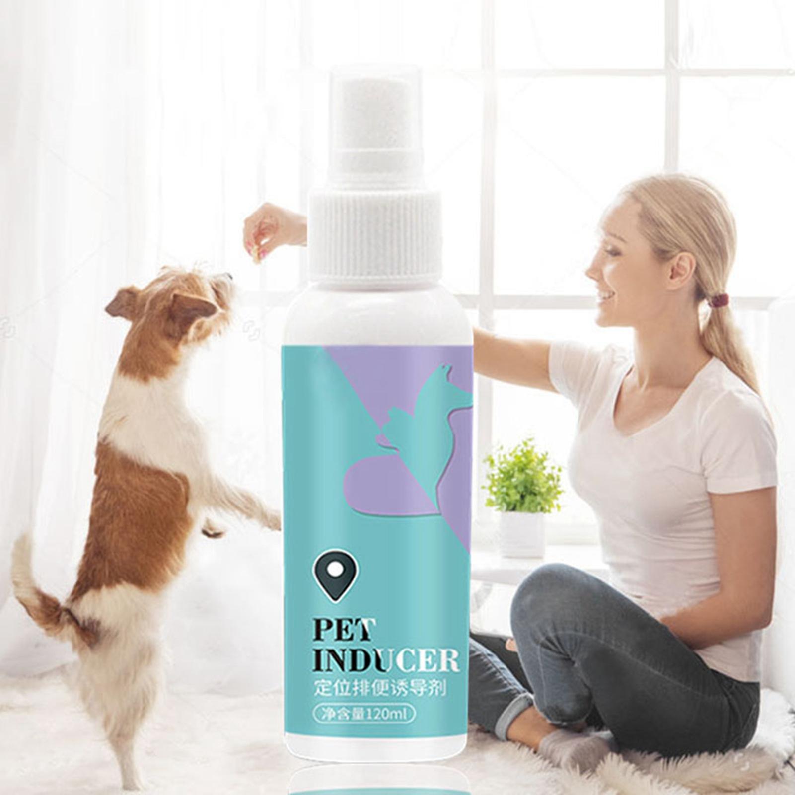 Pet Potty Training Spray Safe Mild Potty Training Aid Spray for Dogs ...