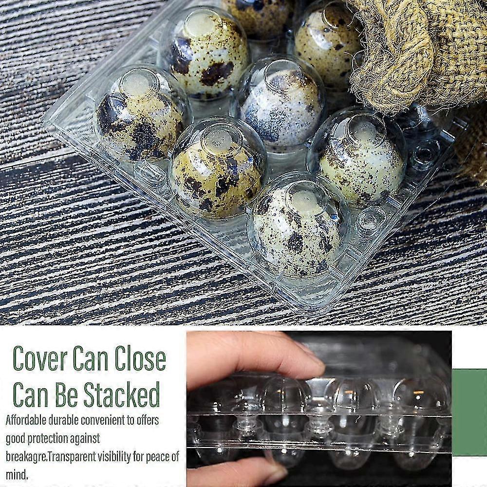 100pcs 12 Grids Quail Egg Box Reusable Quail Egg Cartons Egg Storage ...