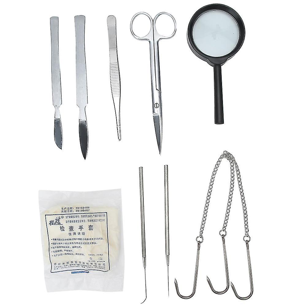 Stainless Steel Dissection Kit Set for Biology Students and Veterinary ...