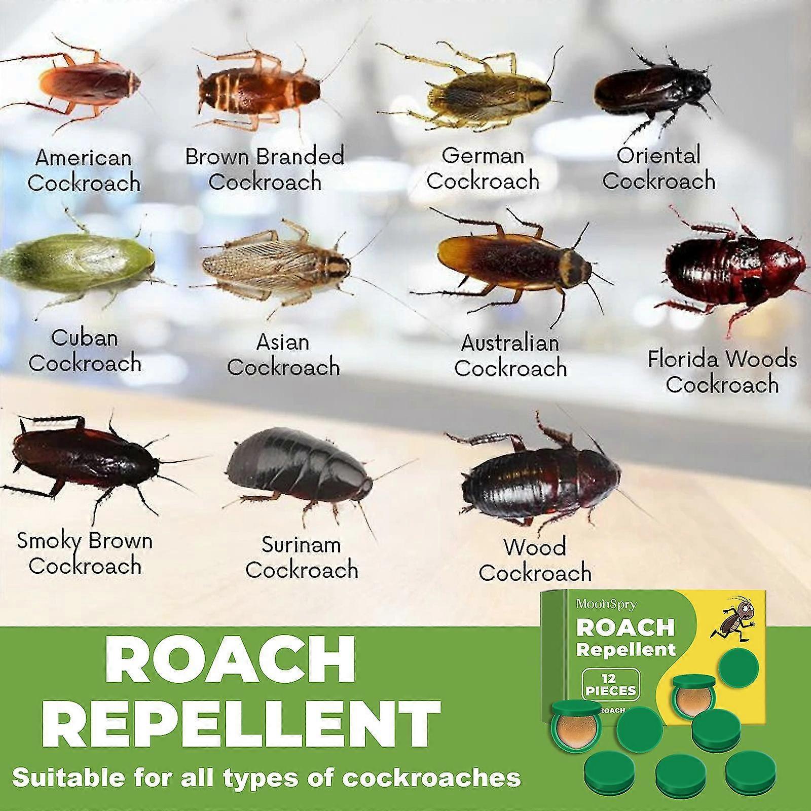 Roach Bait Stations, Natural Cockroach Repellent, Roach Traps Indoor ...