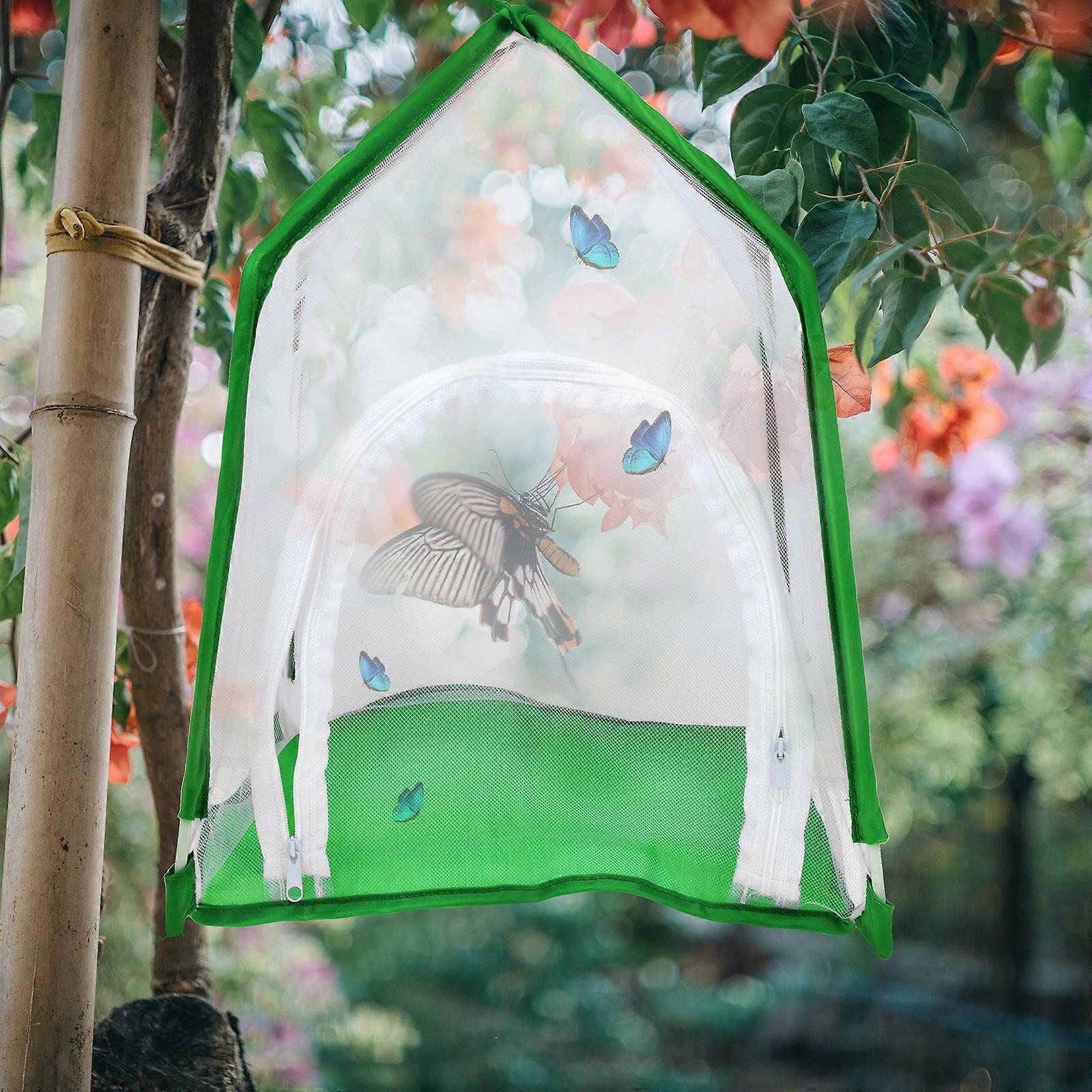 Butterflies Habitat Cage Visible Insect Cage Insect Observation Cage ...