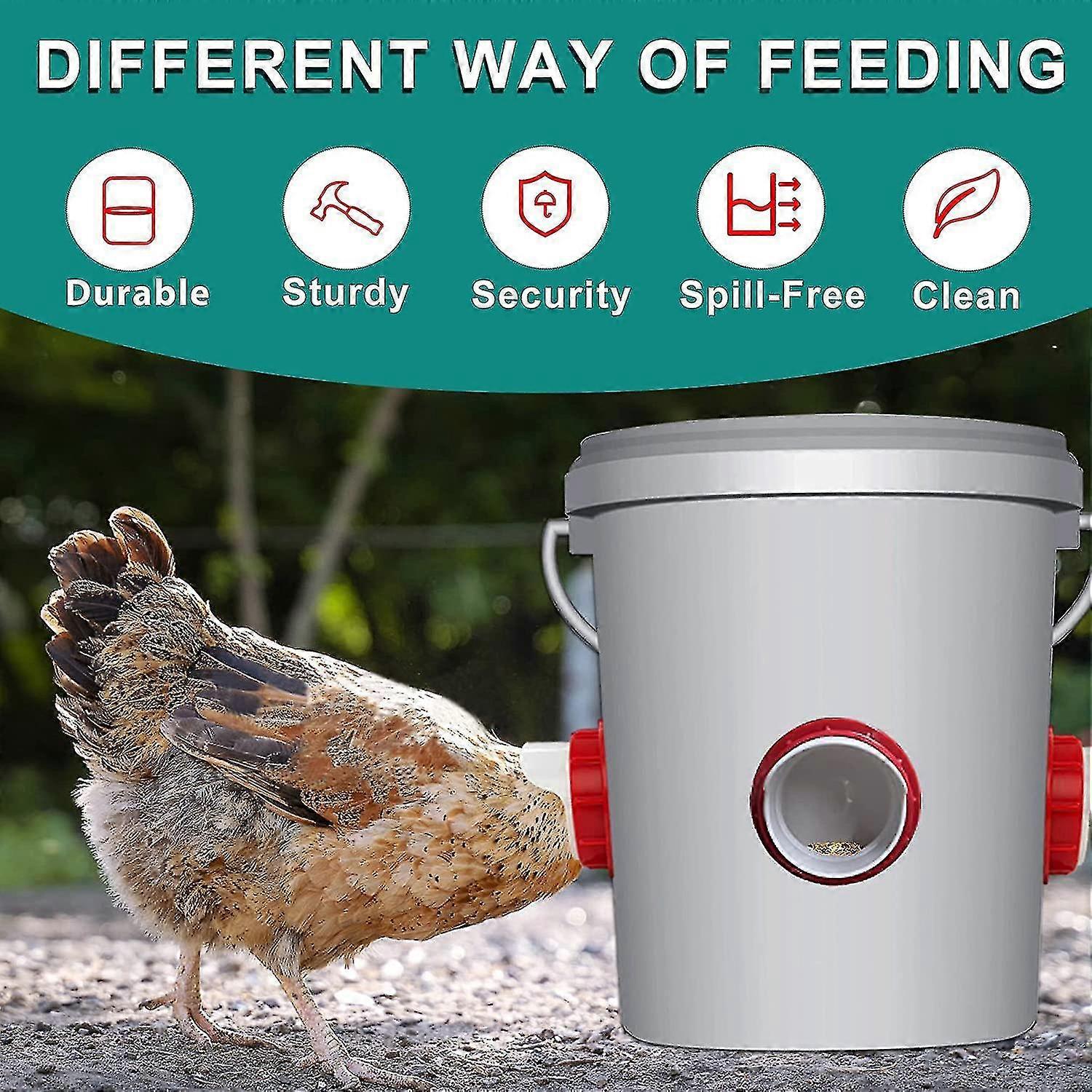 Chicken Feeders No Waste, Diy Automatic Poultry Feeder 4 Ports 1 Hole ...