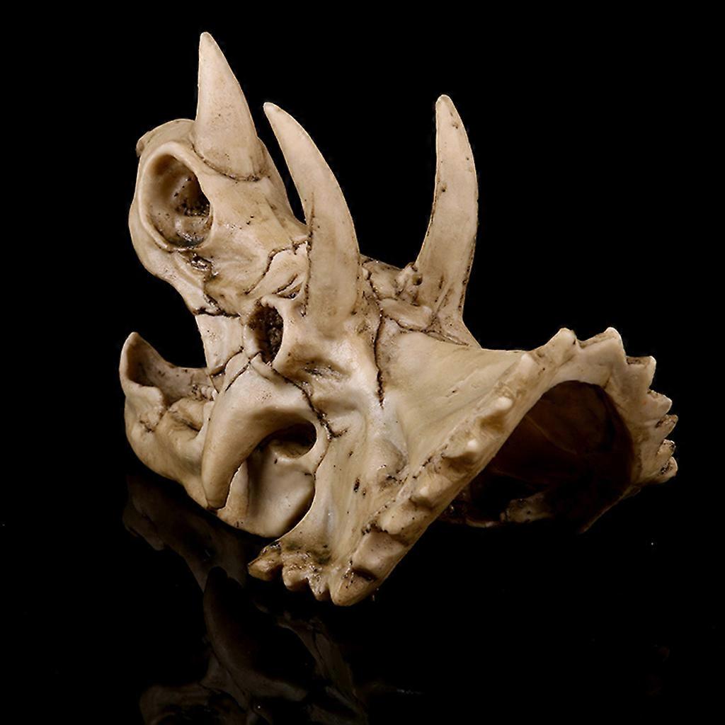 Triceratops Dinosaur Skull Resin Crafts for Fossil Skeleton Teaching ...