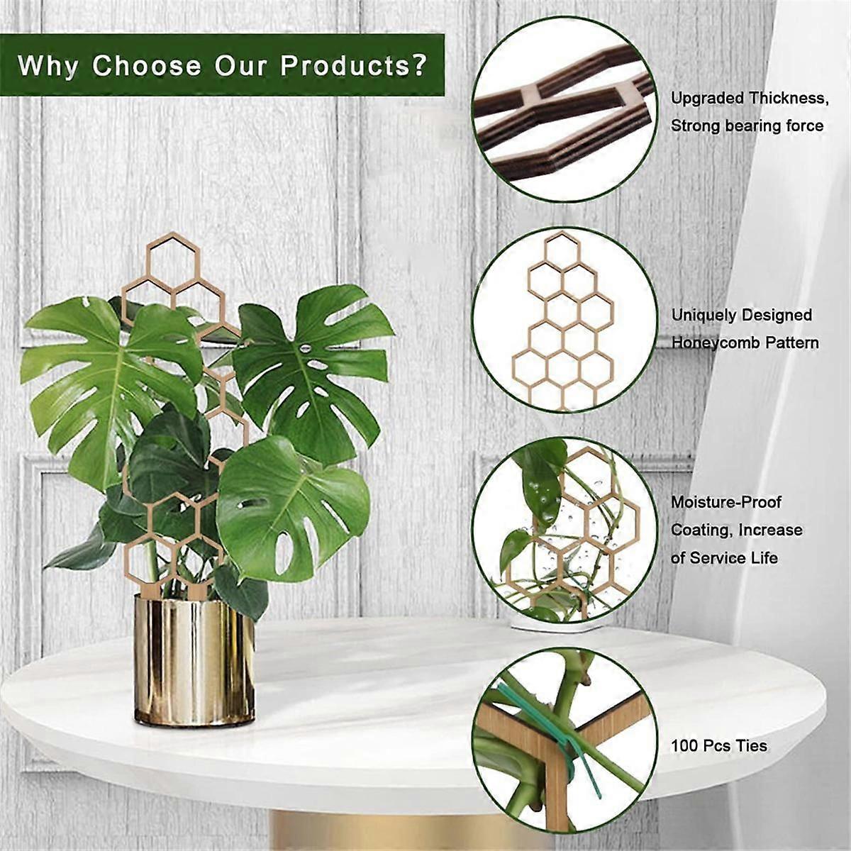 3PCS Wooden Honeycomb Plant Climbing Stand Lattice Climbing Plant Stand ...