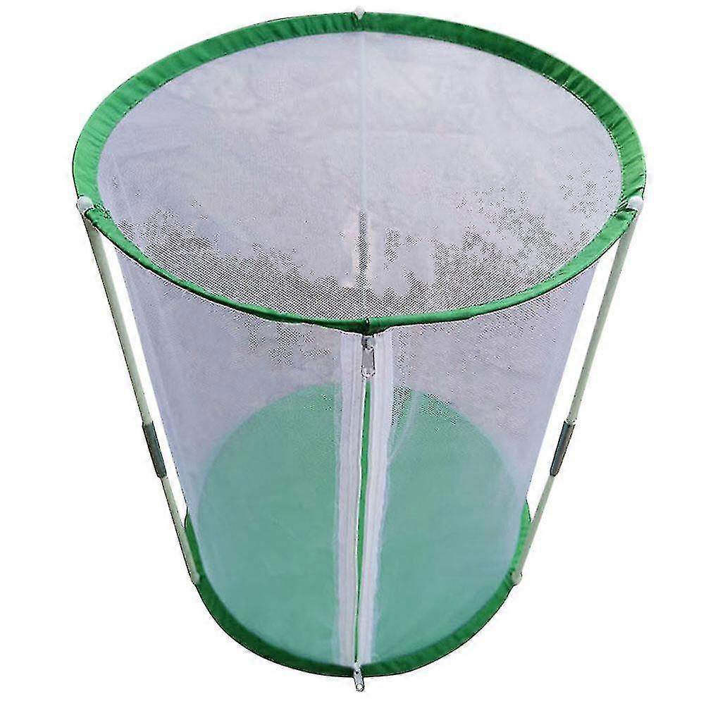 Butterflies Habitat Cage Visible Insect Cage Insect Observation Cage ...