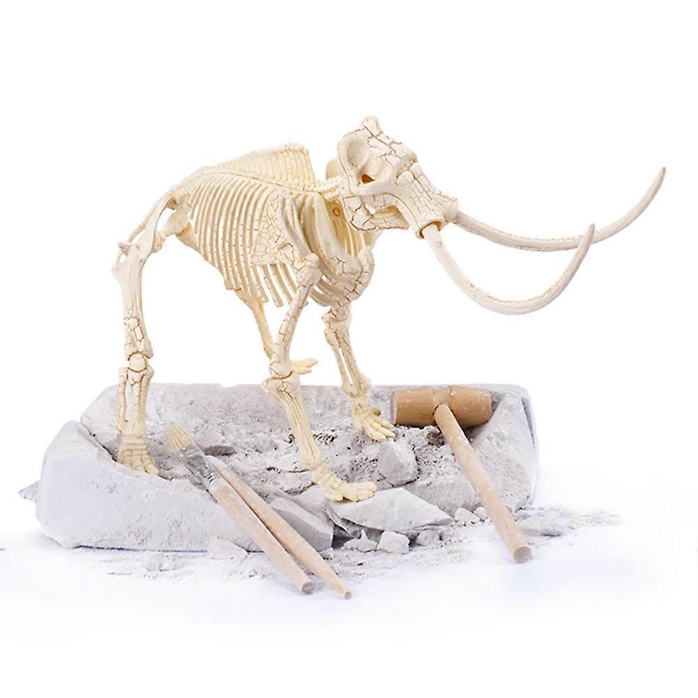 Assemble Dinosaur Skeleton Model Science Educational Toy for Children ...