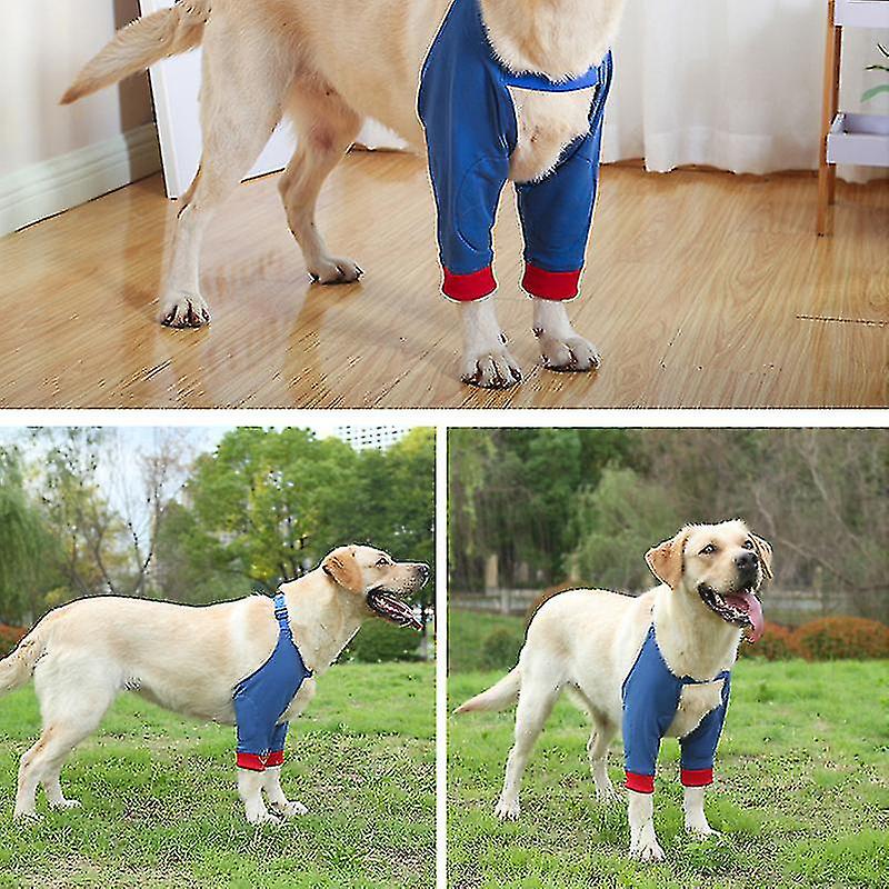 Hund främre benstöd Hund armbågsskydd Stödremmar för läker skyddar mot ...