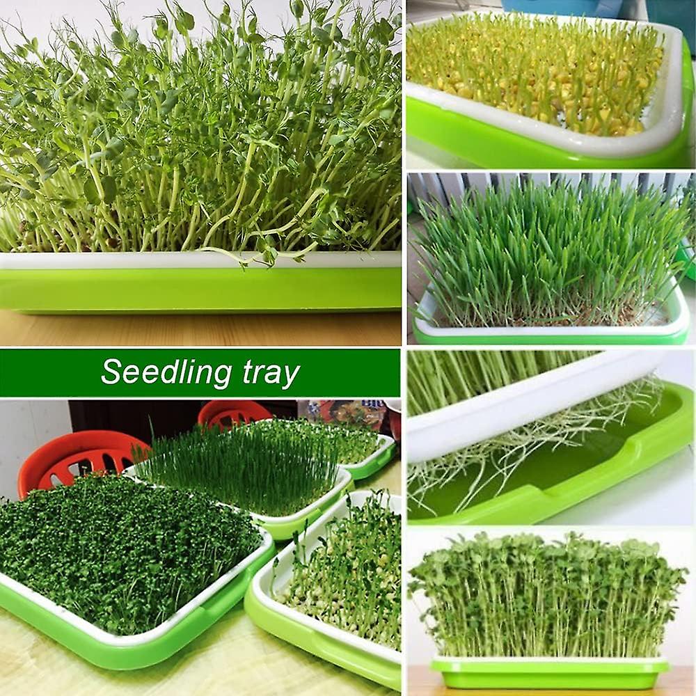 Sprouter For Sprouting Seeds, Sprouter For Sprouting Seeds, Automatic ...