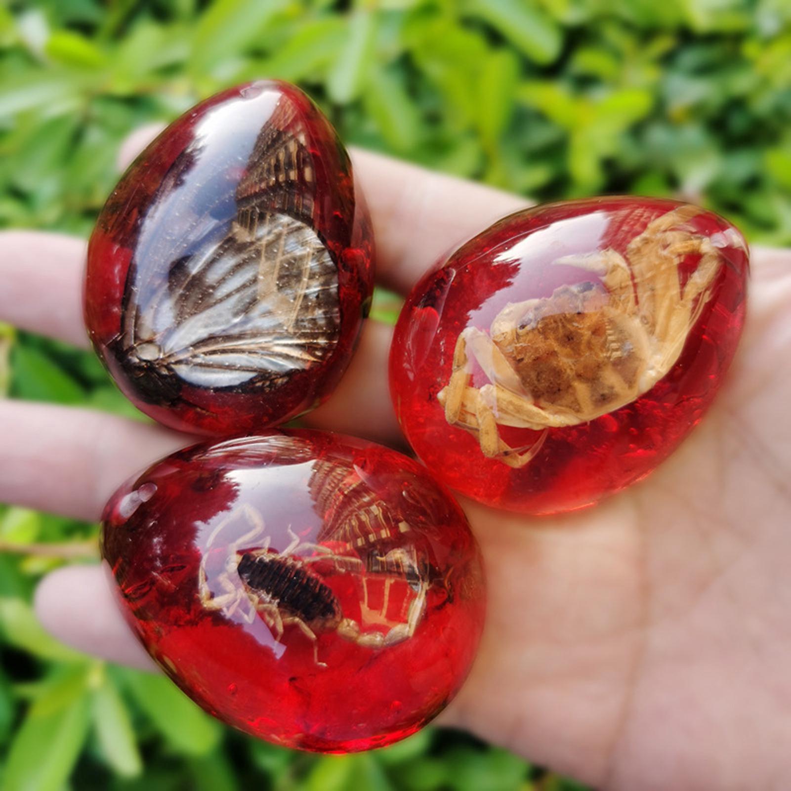 Colorful Amber Animal Collection Scorpion Butterfly Crab Wasp Amber ...