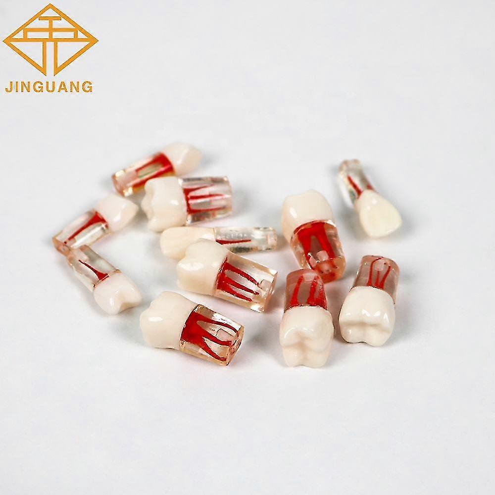 20pcs Dental Endodontics Endo Tooth Teeth Root Canal Models For Rct ...