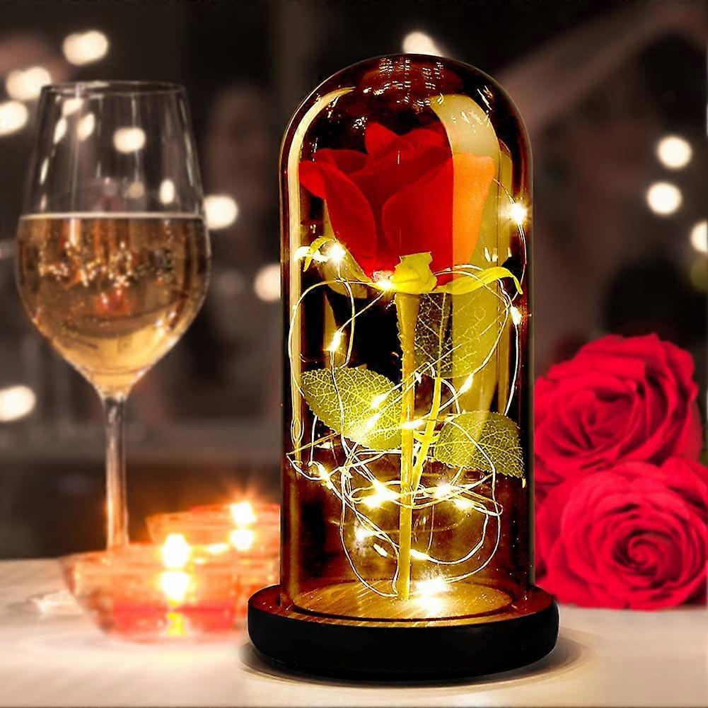 Eternal Roses, Eternal Rose in Cloche, Beauty and the Beast Rose, Fake ...