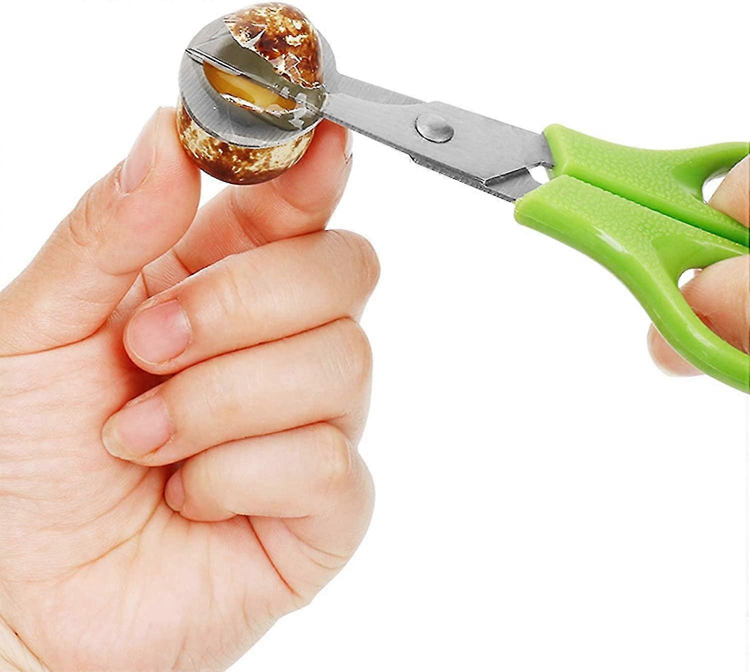 12 Pack Stainless Steel Quail Egg Scissors, Pigeon Egg Cutter Opener ...