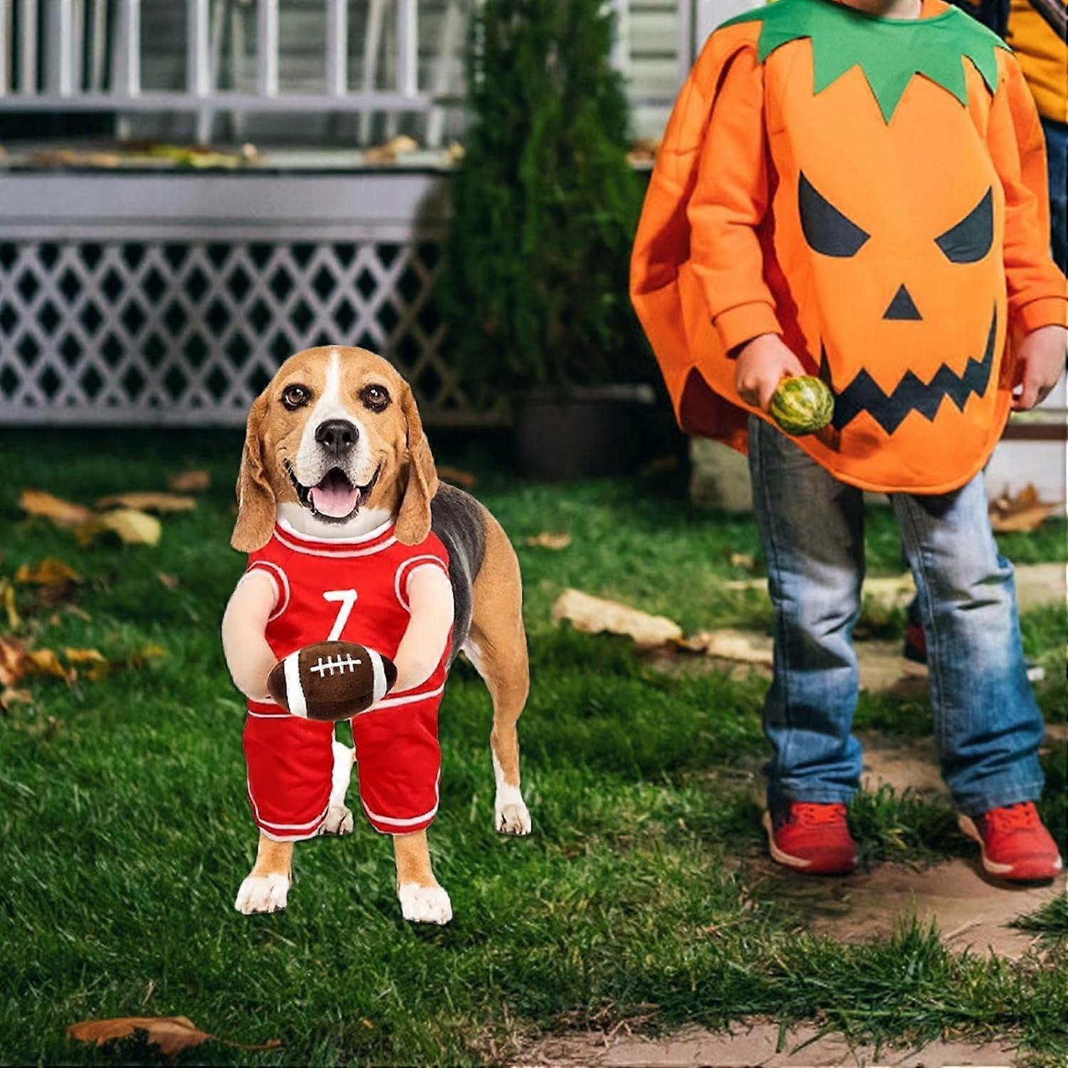 Dog Costume, Dog Costume with Ball, Dog Costume, Dog Player Costume ...