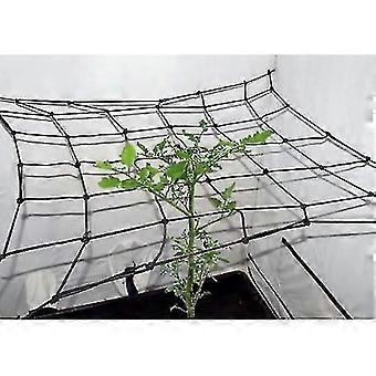 Hydroponic Grow Room Scrog Net Tent Plant Support Net Elastic Crooked ...