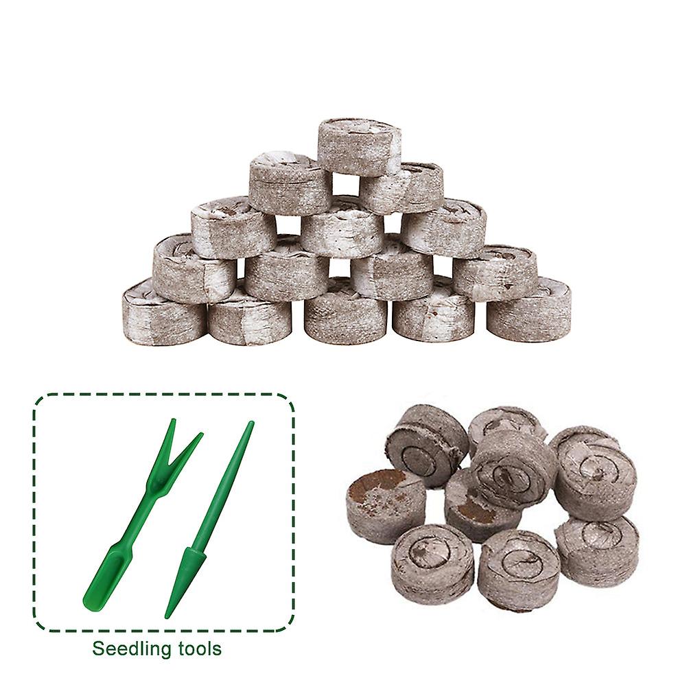 30Mm plug garden greenhouse indoor growing flower vegetable ...