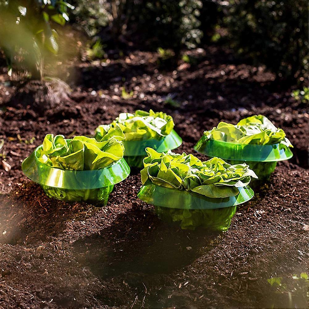 6pcs slug protection vegetable plant cover snail collar garden guard ...