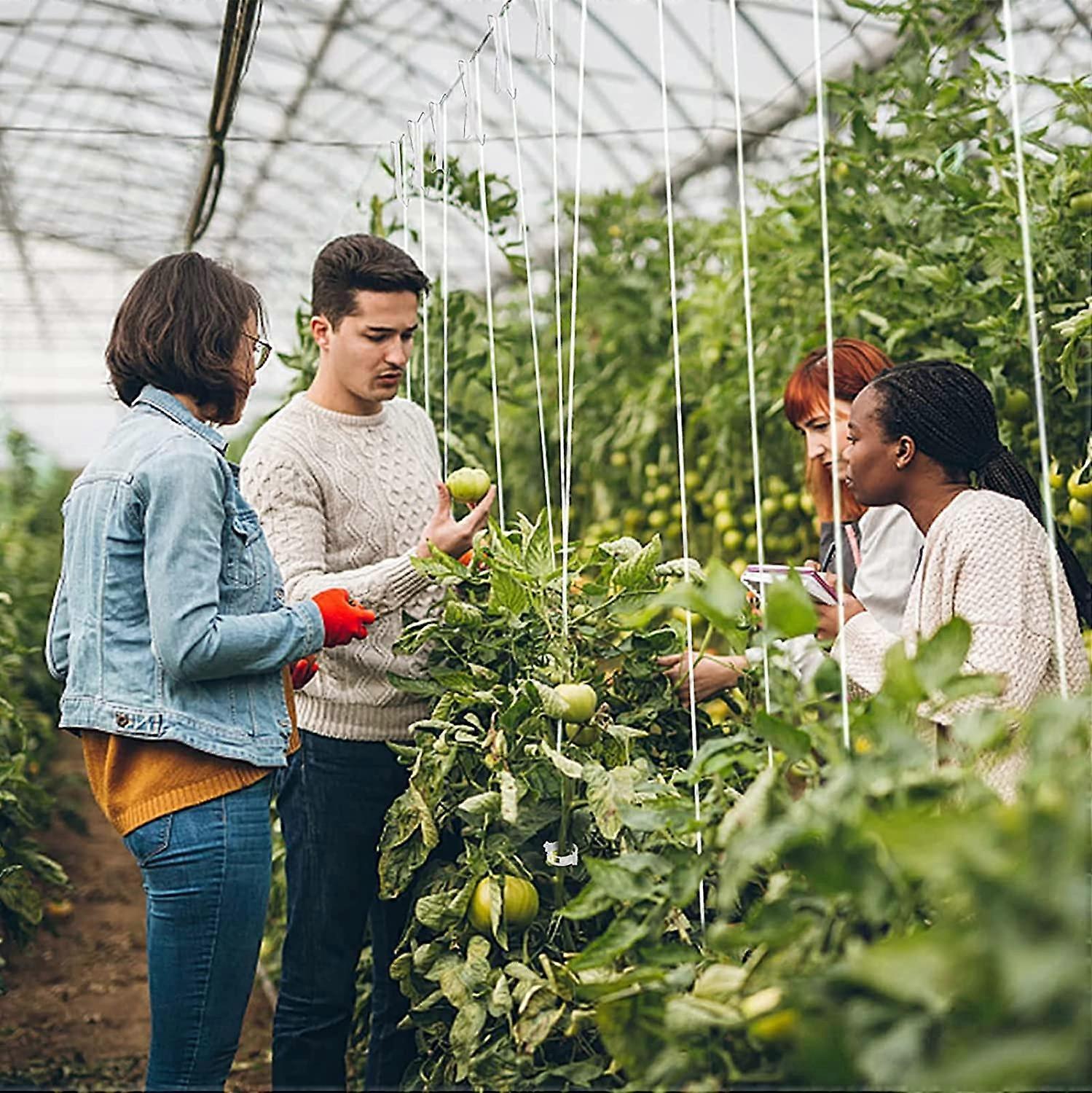 Tomato Rack Hooks, Tomato J Rack, 12 Pieces Tomato Rope Hooks Rack with ...