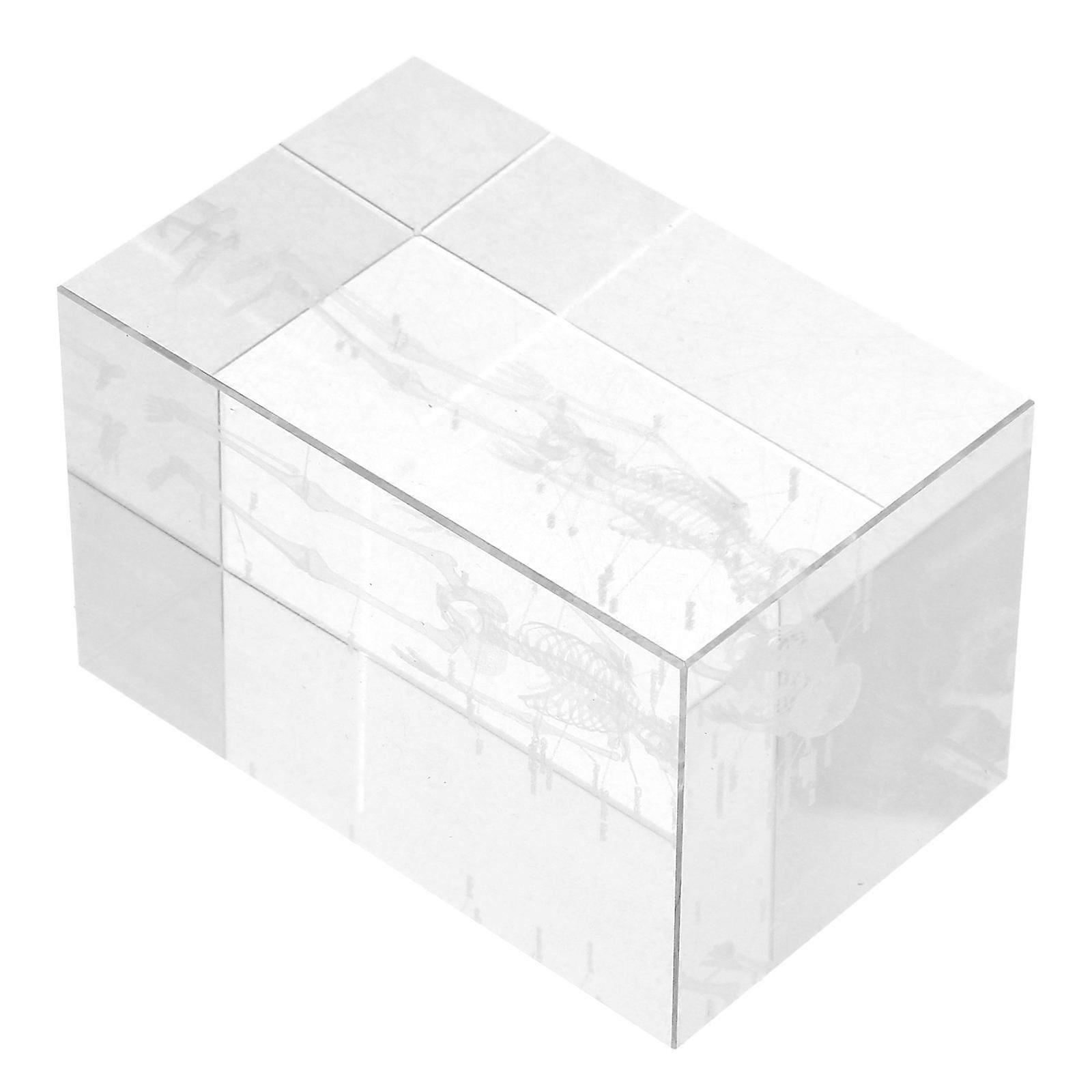 Internal Organs Model 3D Human Skeleton Anatomical Model Crystal Glass ...