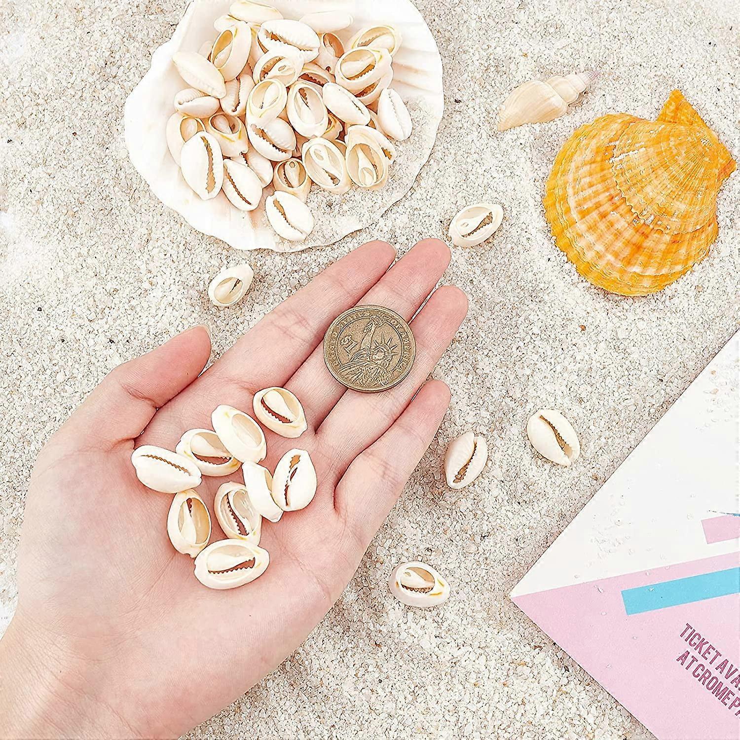 470pcs/500g Mixed Natural Spiral Cowrie Shell Beads Beach Seashells ...