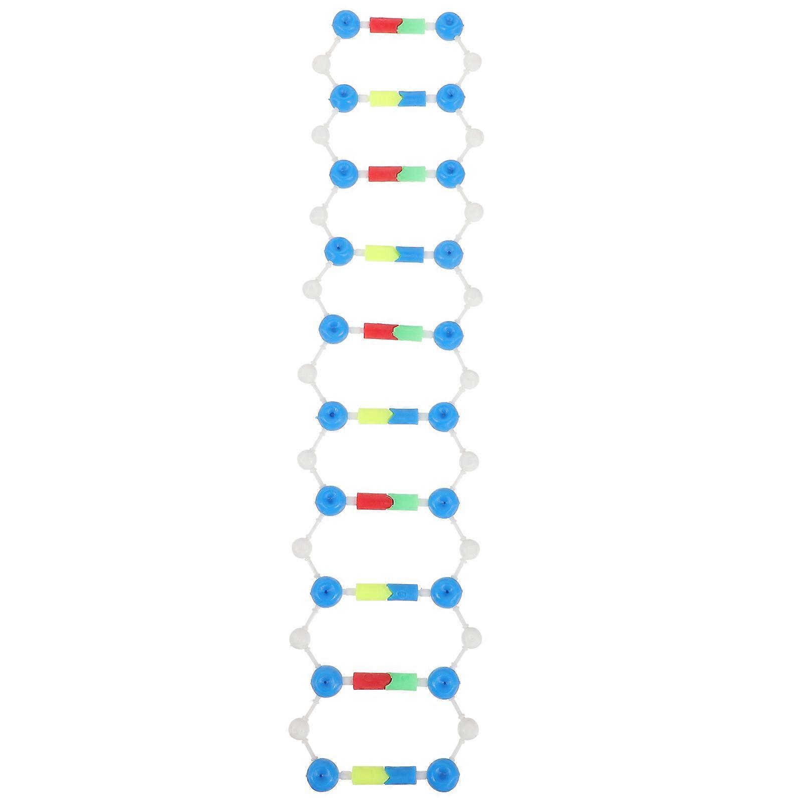 Double Helix Dna Model Science Teaching Aids for Students Educational ...