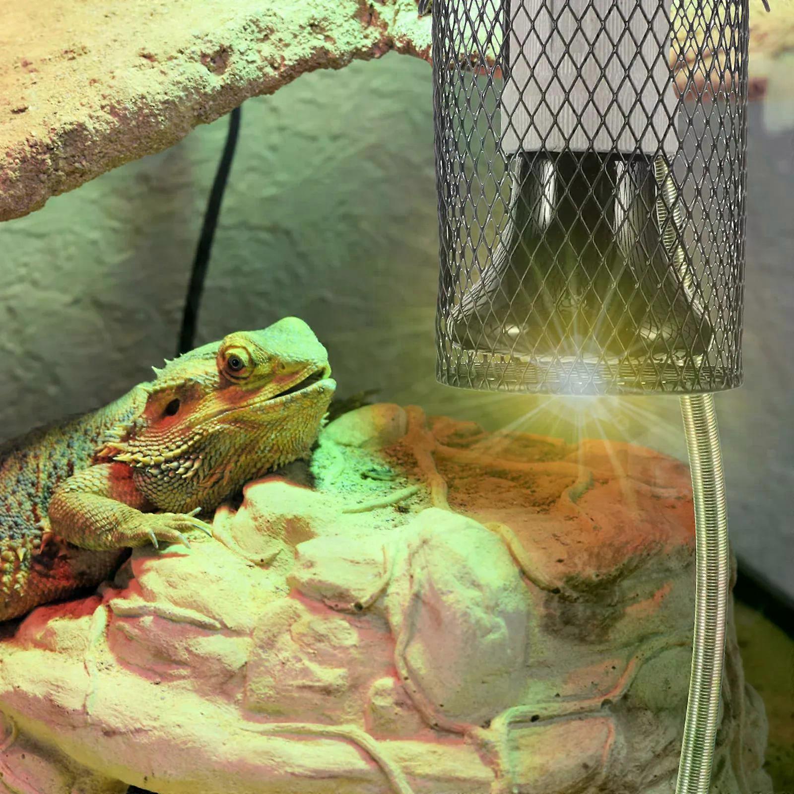 Ceramic Heat Lamp Reptile Heat Lamp Bulb Bird Heat Bulb Lizard Heater ...