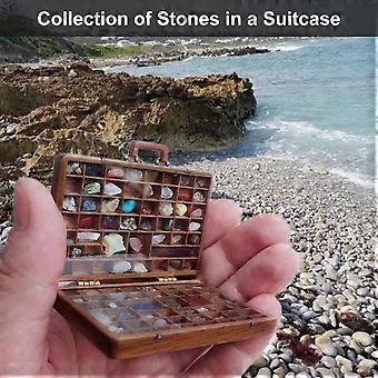 Stone Collection Suitcase Rock Collection Box for Kids Rock and Mineral ...