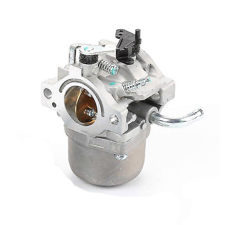Carburetor Compatible with Briggs & Stratton 590399 796077 Engine CC760 ...