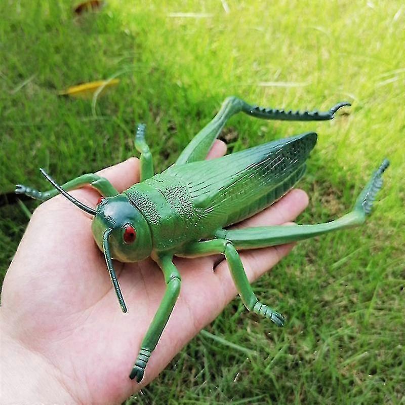 Insect Simulation Model Toys Simulation Wildlife Model Ornaments Creepy ...