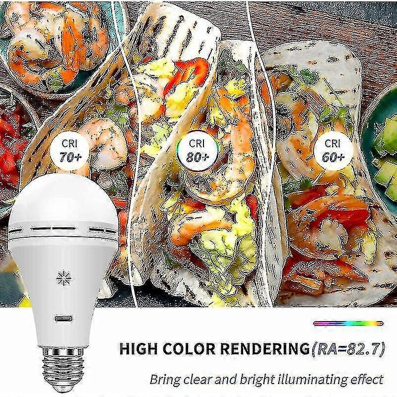 Usb Rechargeable Light Bulb With Remote Control, 7w Led Battery Light ...