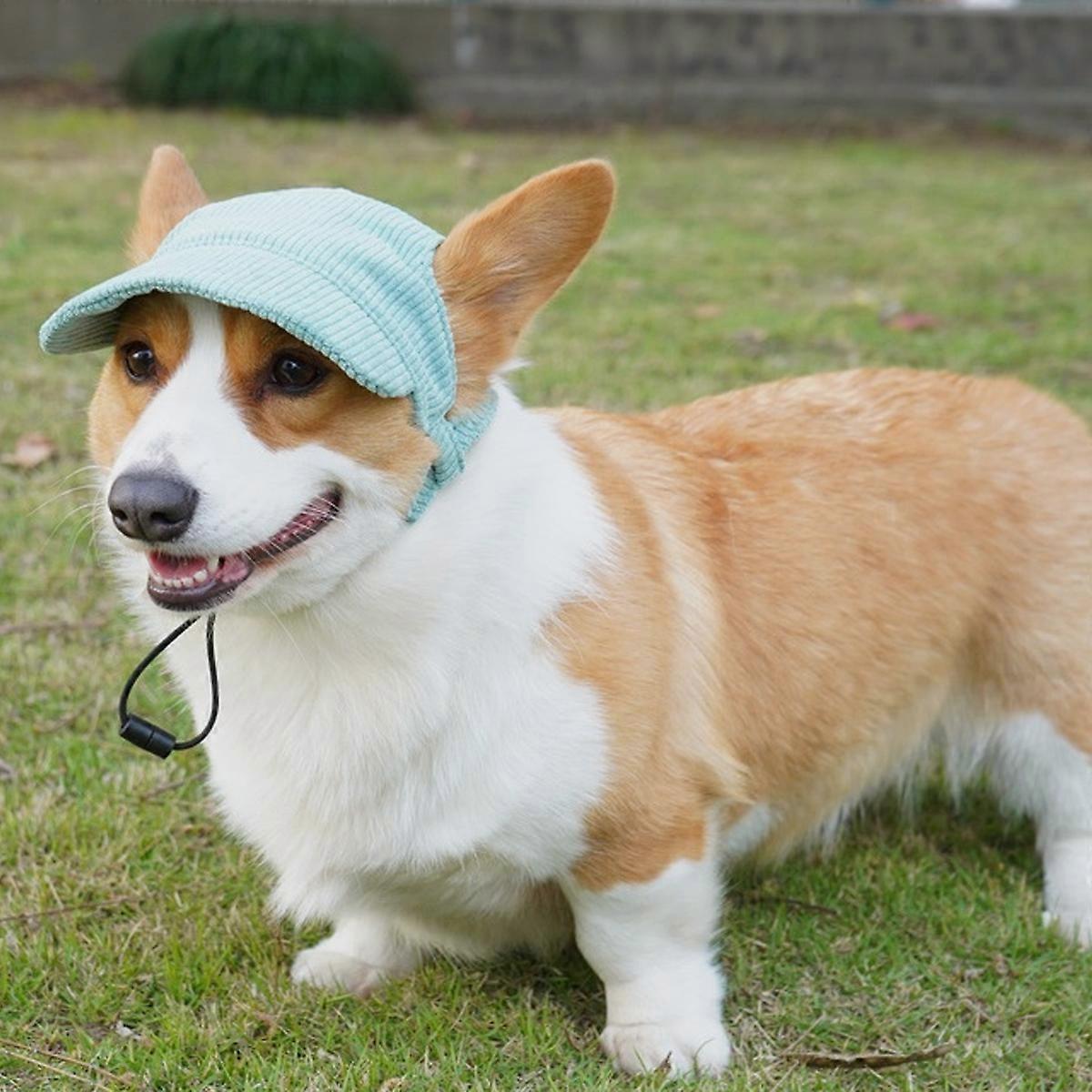 Fashion Dog Hats With Sun Protection, Stretch Chin Rope For Outdoor ...