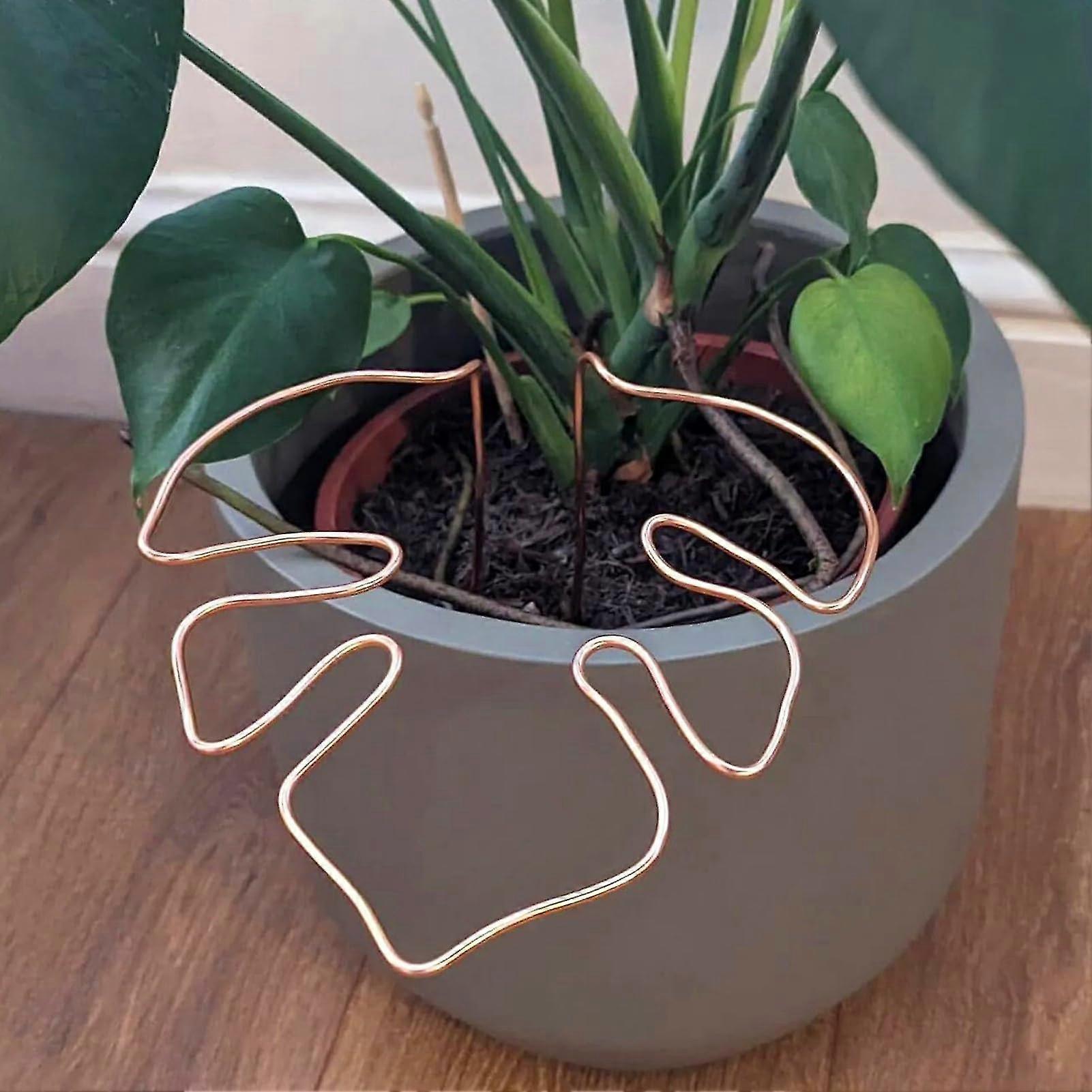 Monstera Formad Växt Stativ, Söt Bladformad Växt Burar och Stöd ...