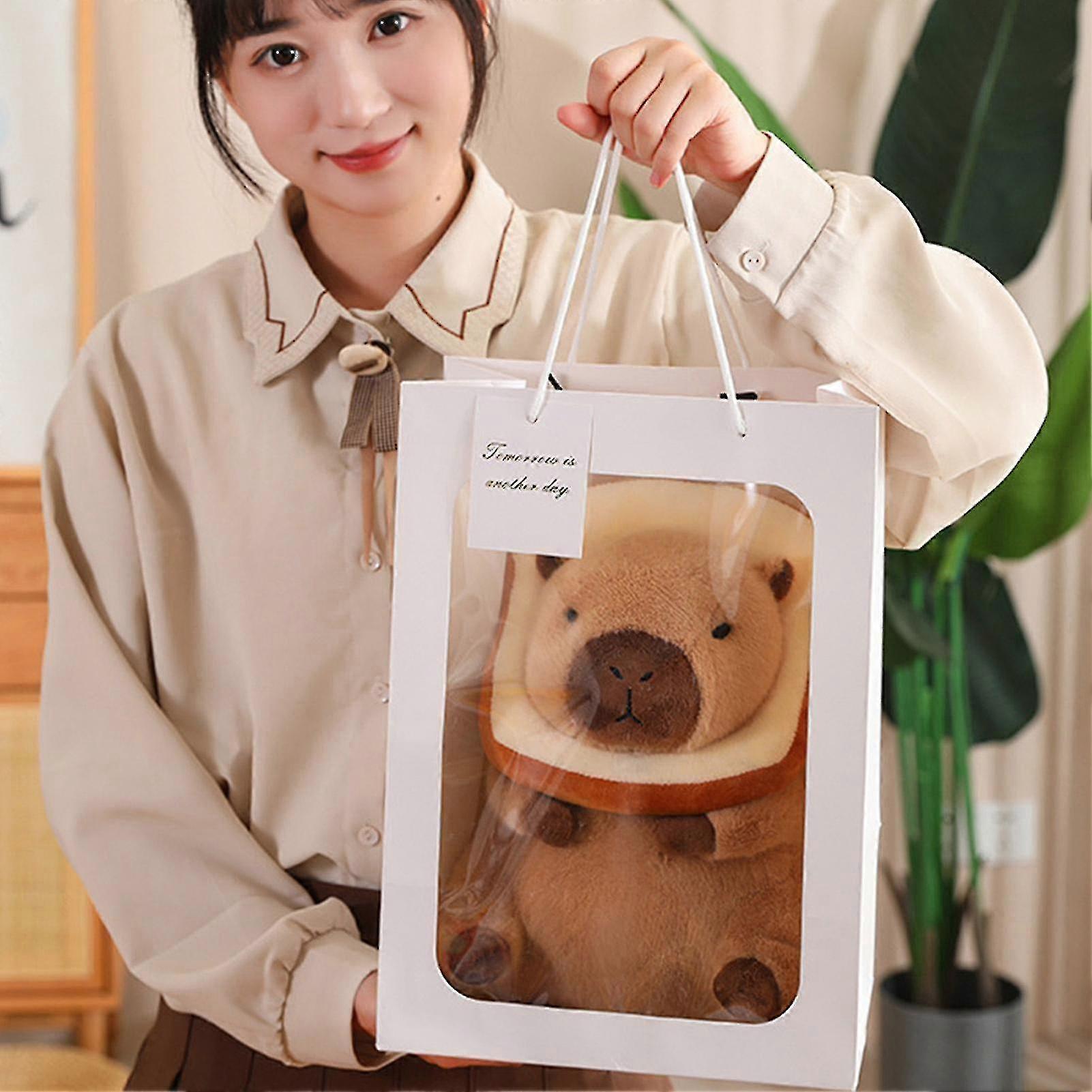 30cm/40cm Capybara Plush Toys Kids Ugly And Cute Stuffed Dolls Hugging ...