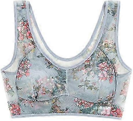 2024 New Ice Silk Lace Cooling Comfort Bra, Ice Silk Cooling Bra ...