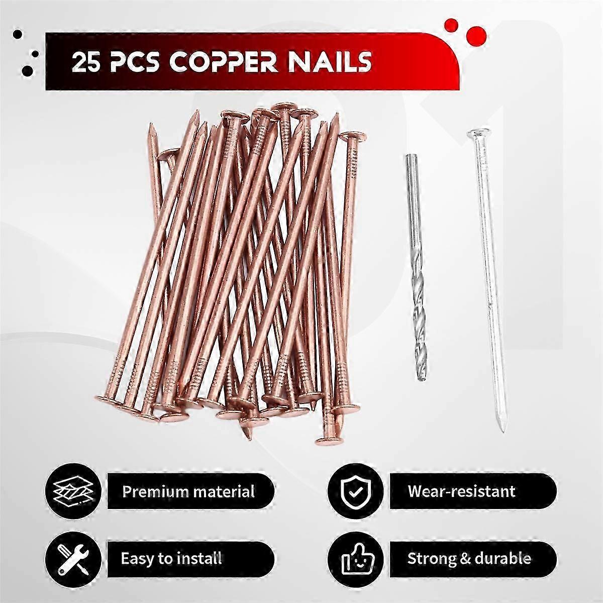 25 Pcs Copper Nails to Killing Trees,3.5 Inch Pure Copper Nails Bulk ...