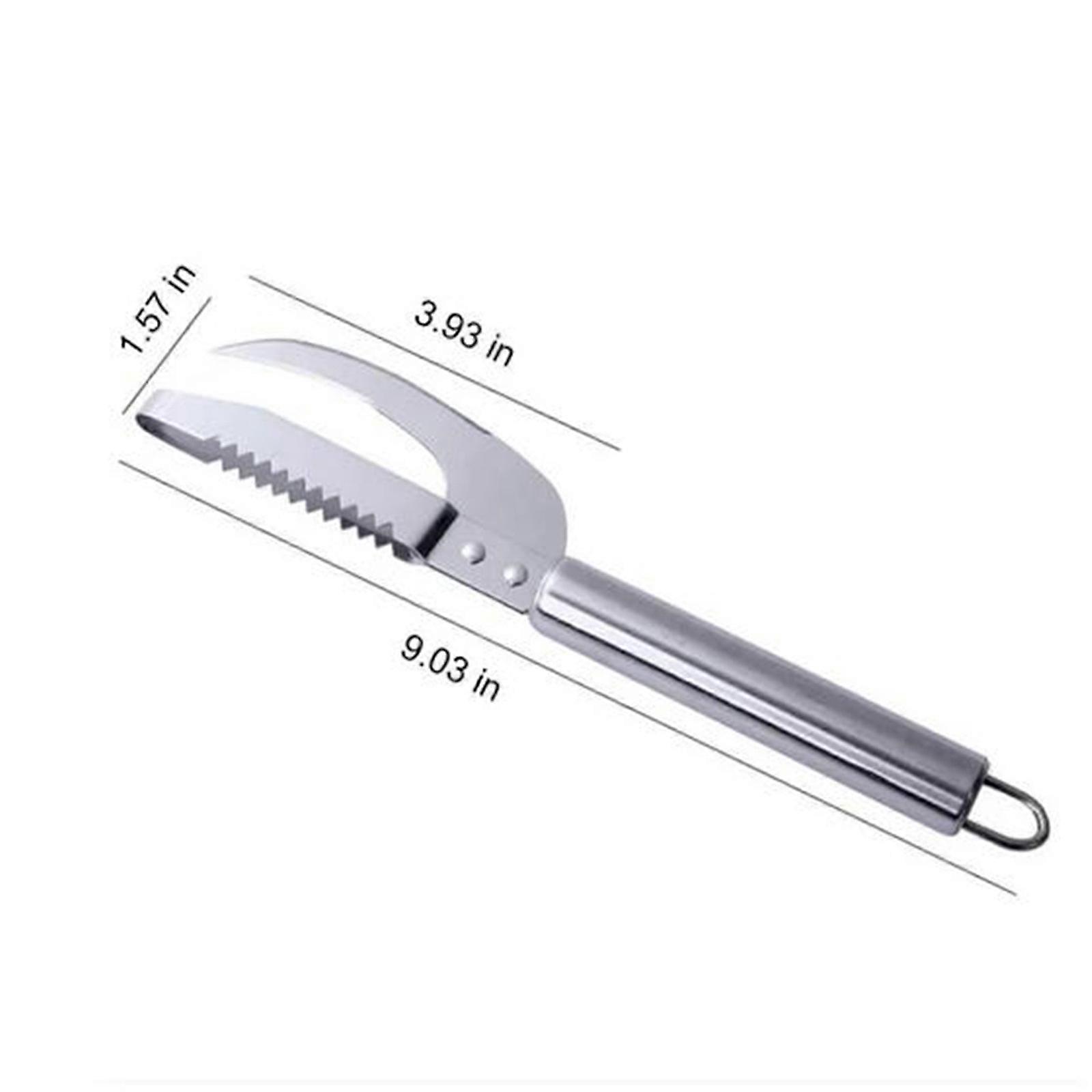 Stainless Steel 3 In 1 Fishs Maw Knife, 2022 New Fishs Scale Knife Cut ...