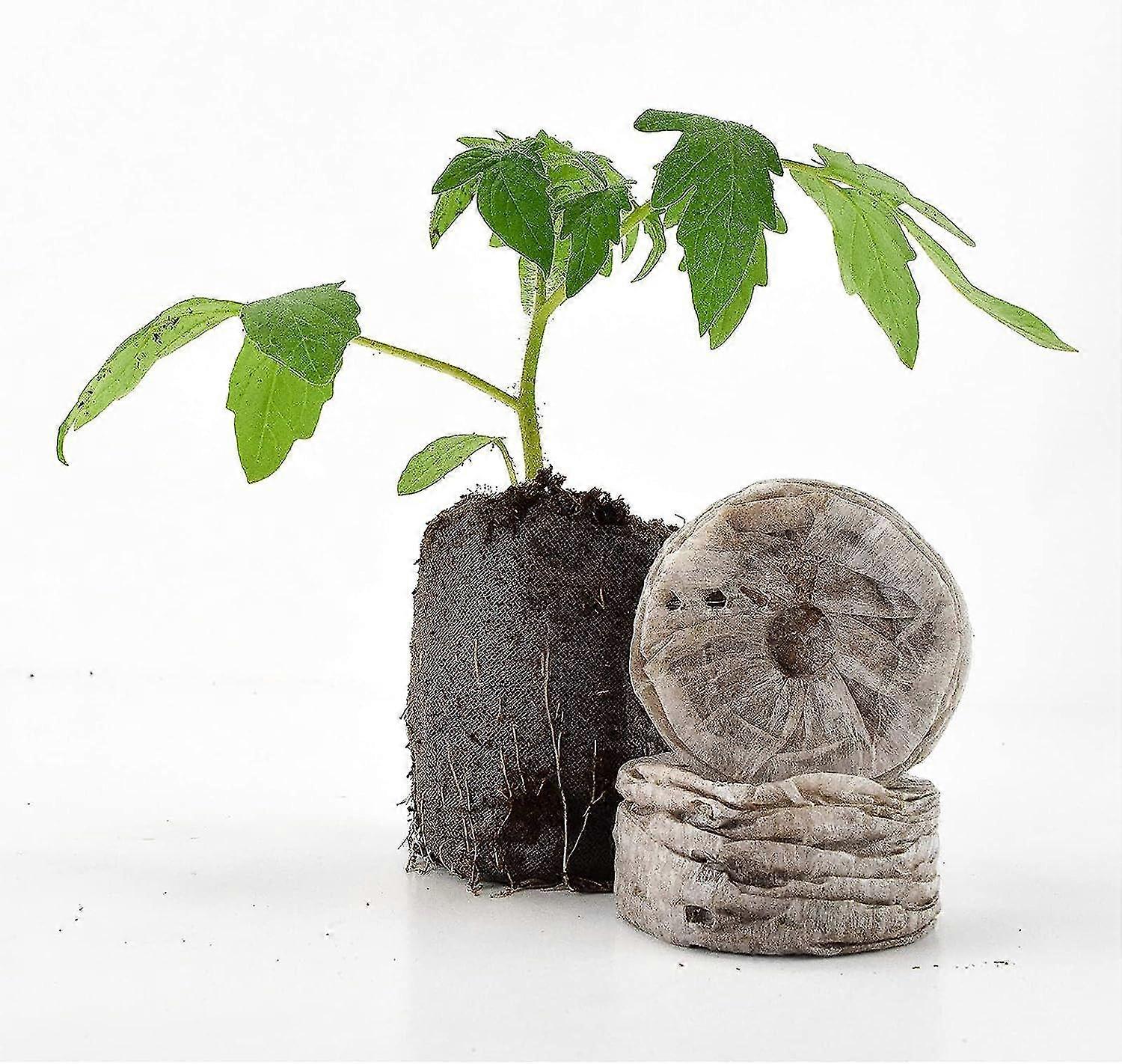 30 Pcs Coir Compost Pellets, Potting Soil Seed Pellets,seedling Compost ...