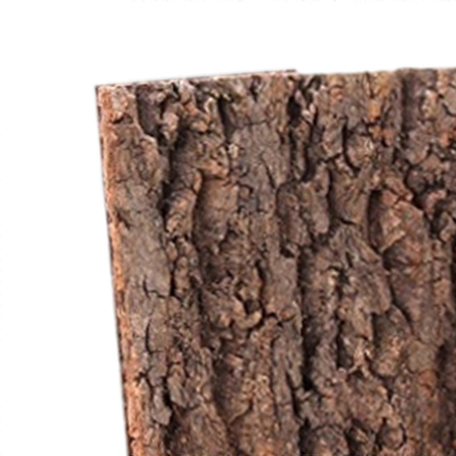 Cork Bark Background Habitat Decor Reptile Background Terrarium ...