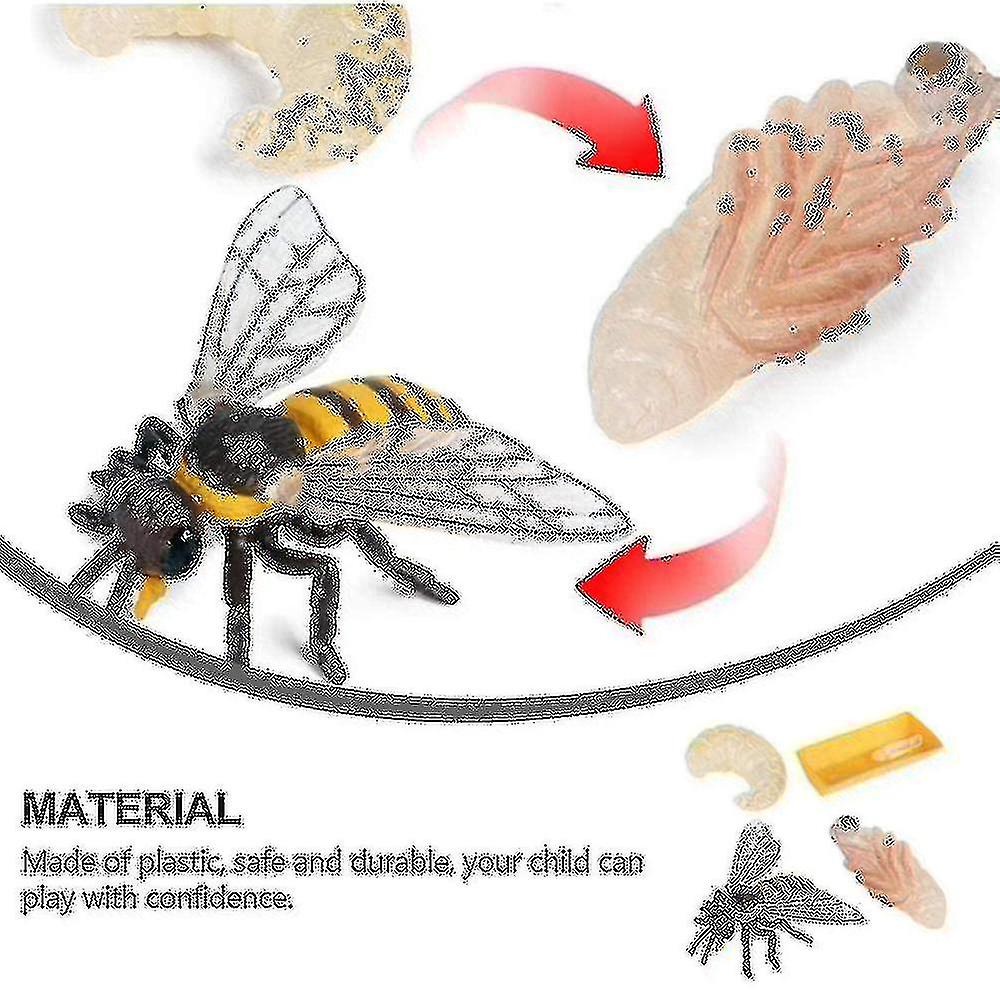 Pack Of 4 Insect Figurines Life Cycle Of Realistic Insects Figures Toys ...