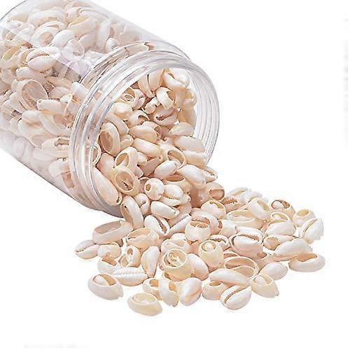 470pcs/500g Mixed Natural Spiral Cowrie Shell Beads Beach Seashells ...