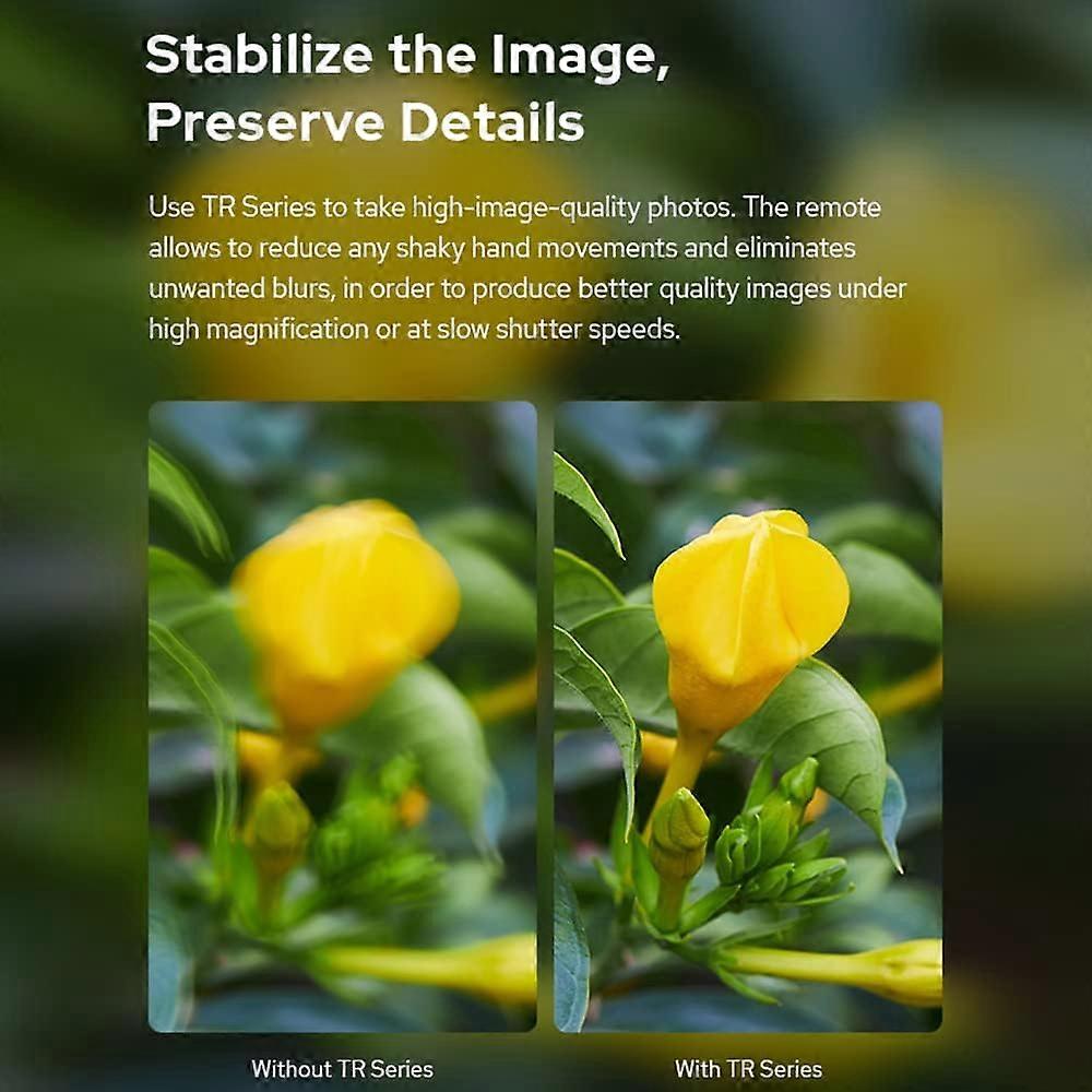 TR Series 2.4G Wireless Timer Remote Control Camera Shutter Remote ...