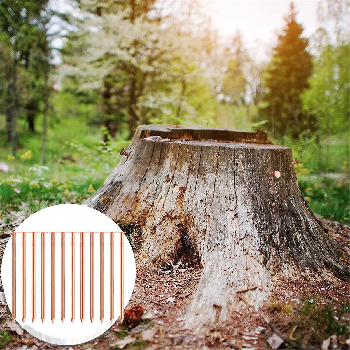 20 Pcs Copper Nails for Killing Trees, Stumps & - 3.5 Inch Long Come ...