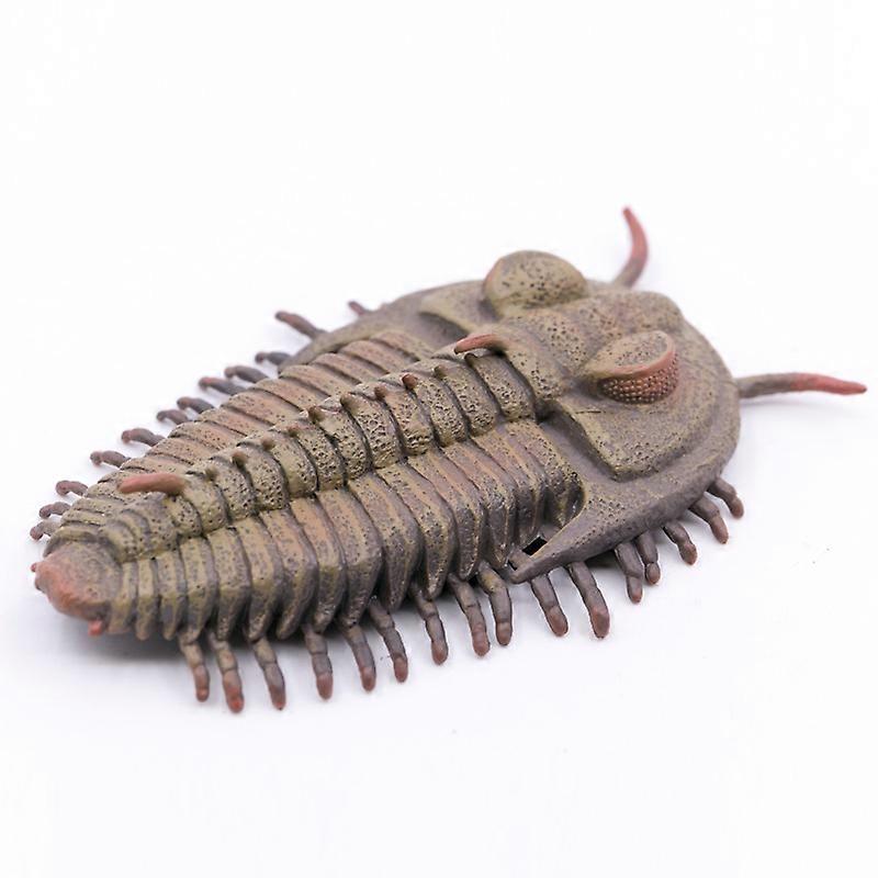 CollectA Prehistoric Animals Ocean Redlichia rex trilobite Nature ...