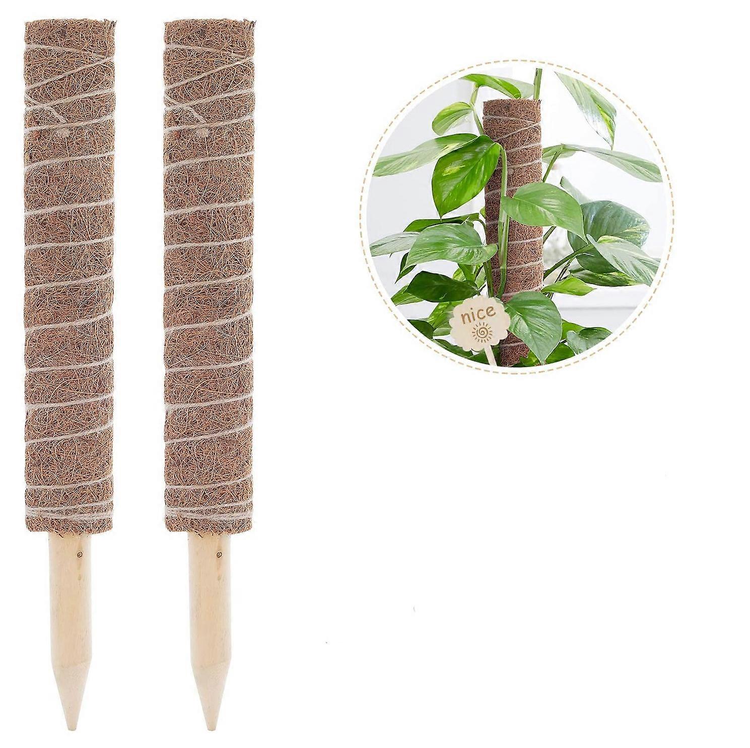 Moss stick, 2 pieces 40 cm Monstera climbing aid, extendable Natural ...